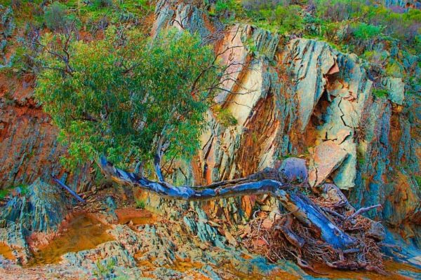 10 Best Places to Go Camping in SA National Parks